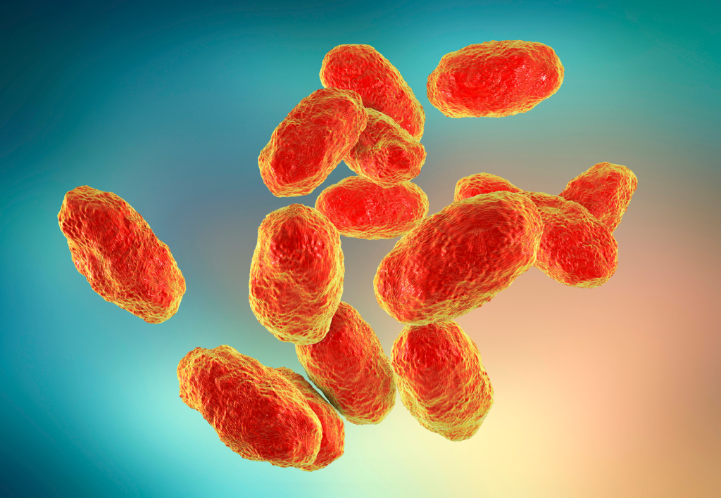 Гемофільна інфекція типу b (ХІБ/Hib) - Статті - Дніпропетровський ...